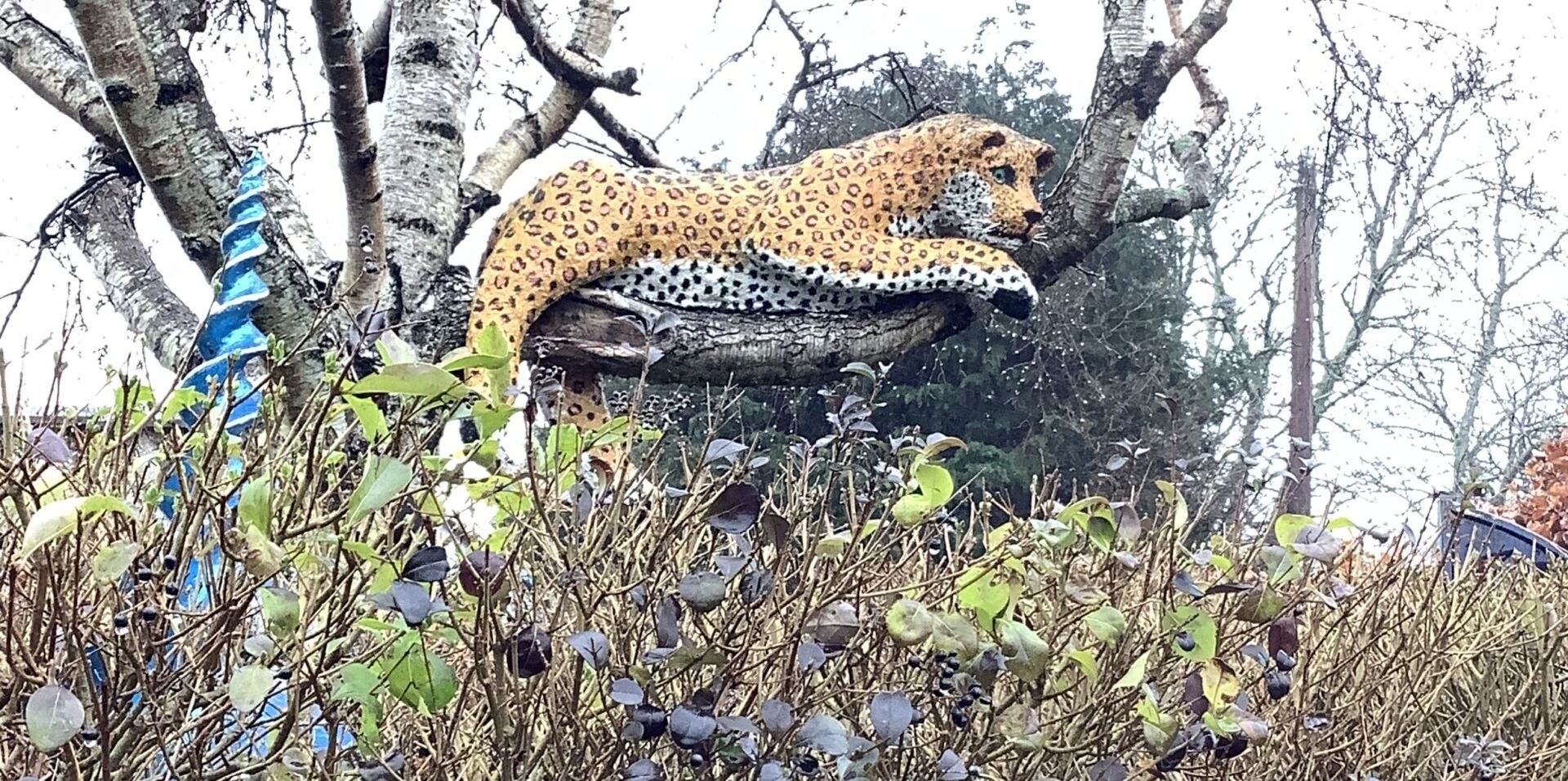 Mapping Malcolm’s Marvellous Menagerie