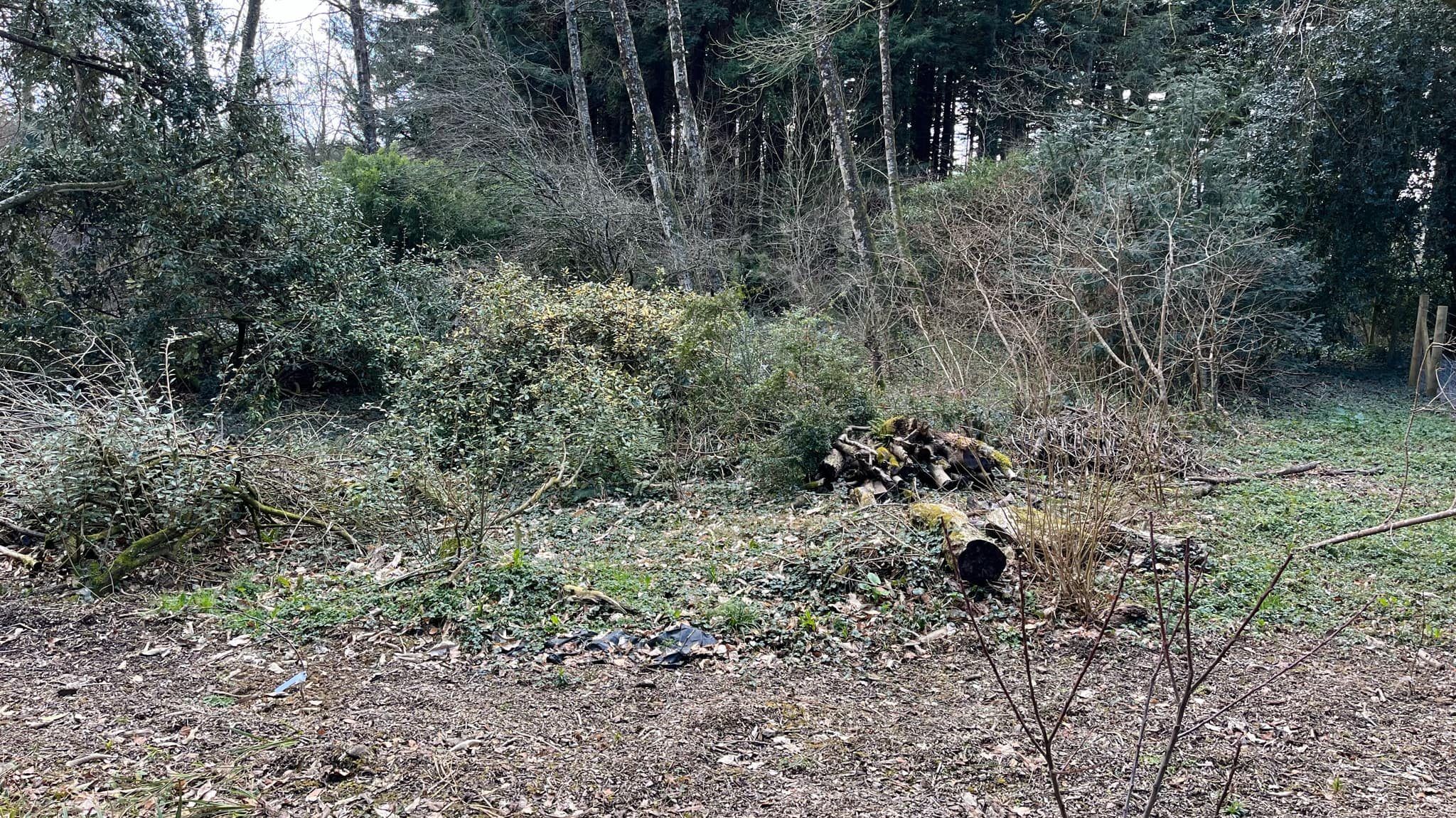 Forest Garden: A Campaign for Survival