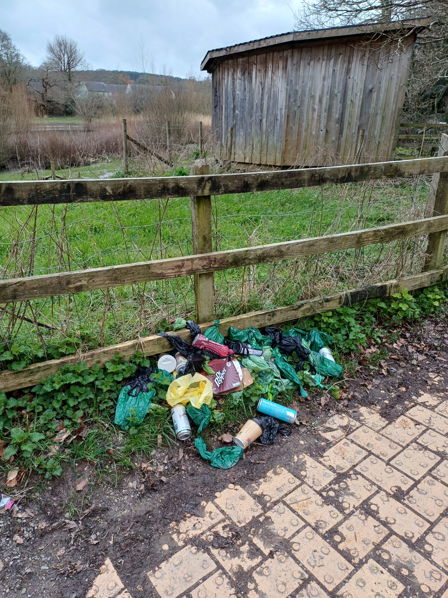Dog Poo - No bin, no worry, just dump it.